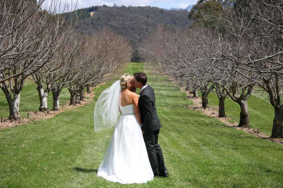 Bonny doon wedding venues photos - Weddingsavor.com