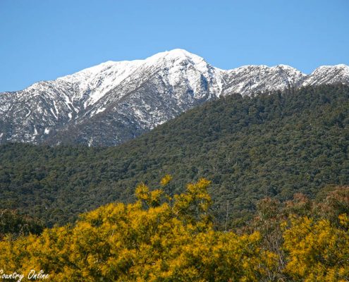GALLERY – High Country Online